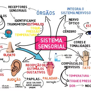 MAPA MENTAL - SISTEMA SENSORIAL - Com Ciência | Hotmart