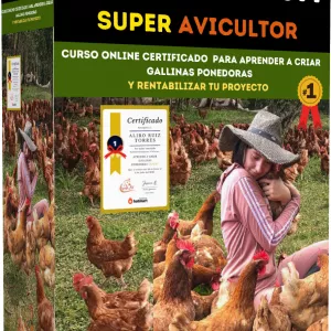 De Cero a Super Avicultor en Gallinas Ponedoras. 🐥🐔🤠 - Jessica G...