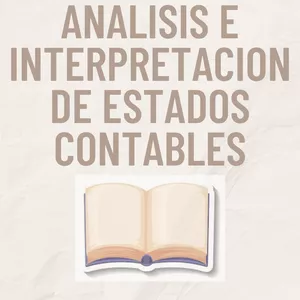 Análisis e Interpretación de estados contables - Erik nelson gasto...