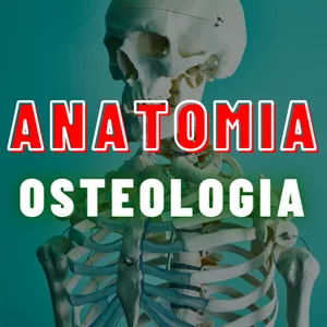 Osteologia - estudo dos ossos. - Academia Brasileira de Radiologia ...