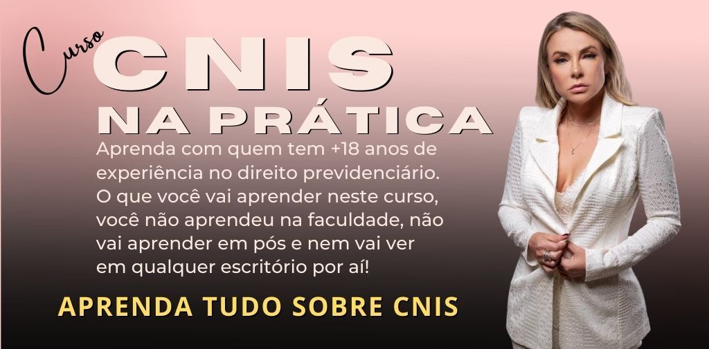 CNIS na Prática