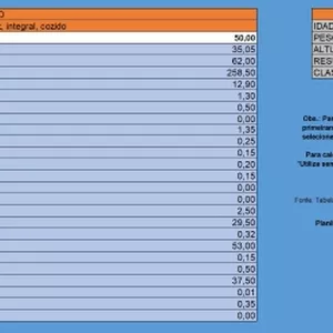 Planilha para cálculo de composição dos alimentos da TACO/IBGE e IM...