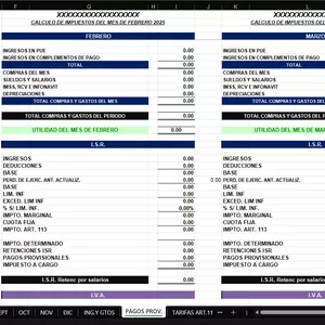Plantilla Excel para Cálculo de Impuestos – Persona Física con Acti...