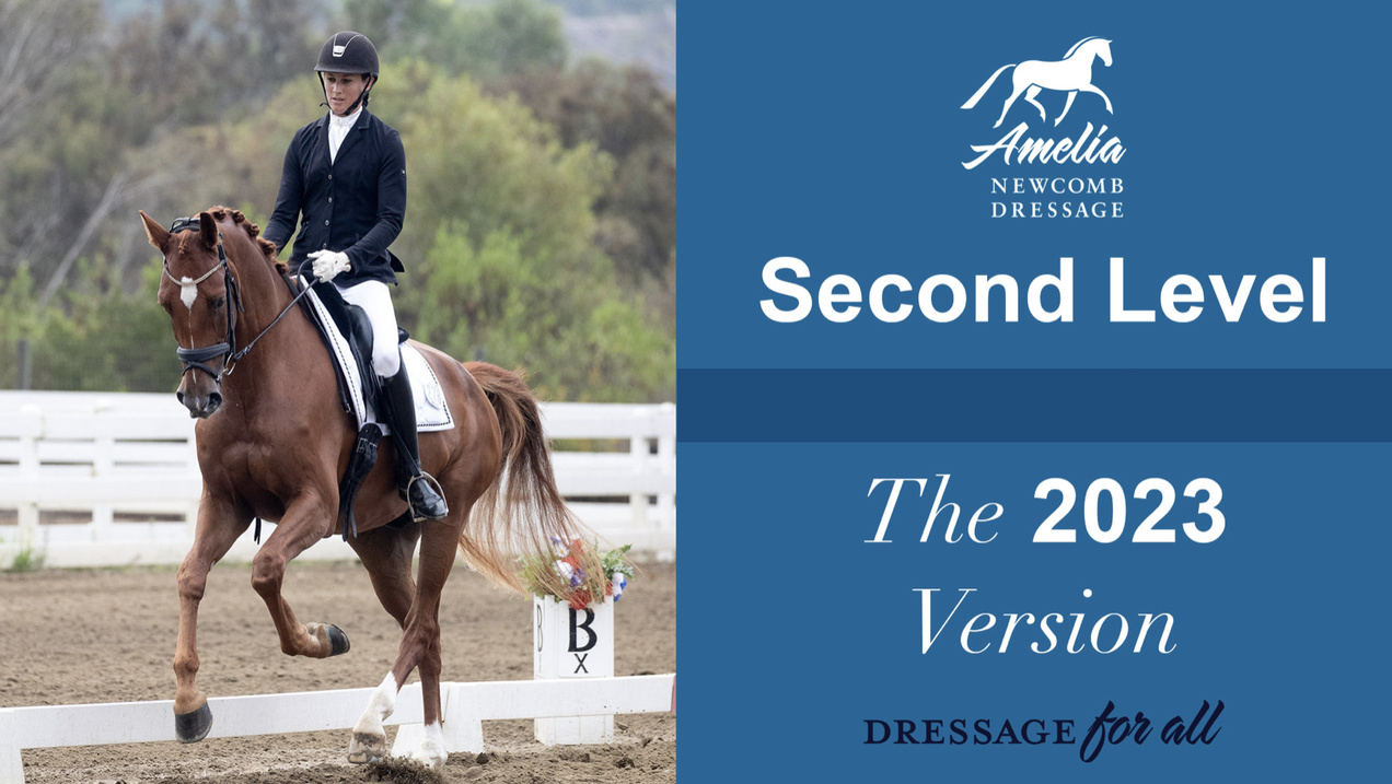 Amelia's Dressage Academy (The Dressage Academy Inc.)