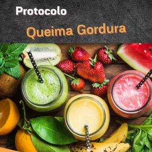 Protocolo Queima Gordura - Vinicius Almeida Santos | Hotmart