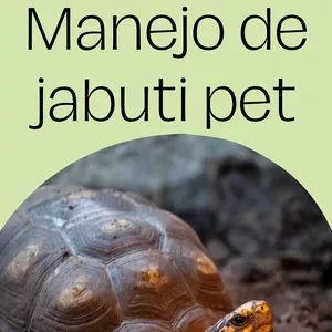 Manejo de Jabuti Pet 2.0 - KAIO GUTIERES EBERT | Hotmart