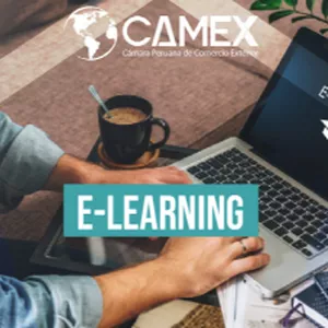 CURSO DE E-LEARNING - CAMEX | Hotmart