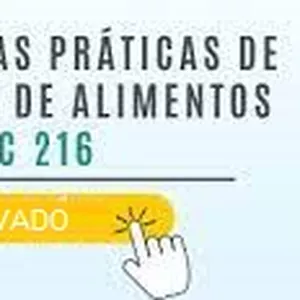 Manual de Boas Praticas RDC 216 e POP'S - Rutineia Oliveira Pardinh...