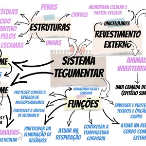 MAPA MENTAL - SISTEMA TEGUMENTAR - Com Ciência | Hotmart