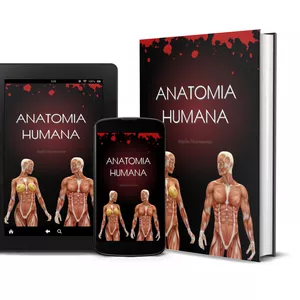E-book Anatomia Humana - Gabriela Lino | Hotmart