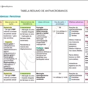 TABELA RESUMO DE ANTIBIÓTICOS - Helena Victoria Azevedo Cunha da Fo...
