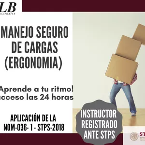 ERGONOMÍA NOM 036 STPS 2018 - LESLI DANIELA BAYARDO ALVAREZ | Hotmart