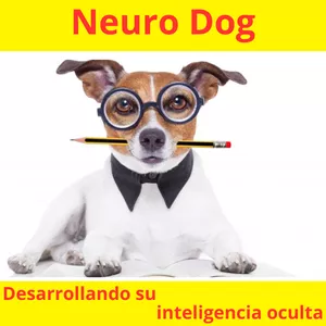 Neuro Dog - ONE MARKET EDUCATION S.A.S. | Hotmart