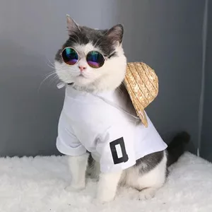 Gatos fachero - Mario David Aquino Ovelar | Hotmart