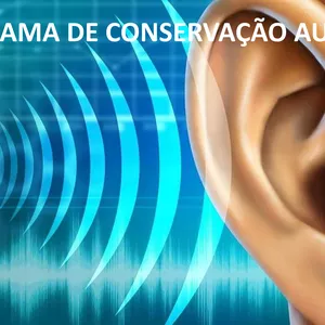 Modelo PCA-Programa de Conservação Auditiva. - Richard Franchi Pisa...