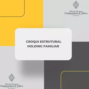 Croqui Estrutural - Holding Familiar - Flavio Guimarães | Hotmart